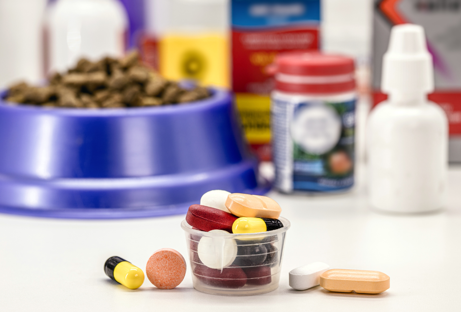 Animal Corner Veterinary Clinic & Supply